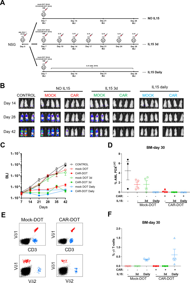 Generation and proof-of-concept for allogeneic CD123 CAR-Delta One T (DOT) cells in acute ...