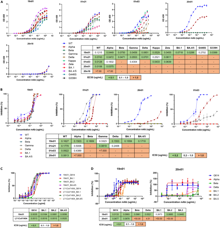 19n01, a broadly neutralizing antibody against omicron BA.1, BA.2, BA.4/5, and other SARS-CoV-2 ...