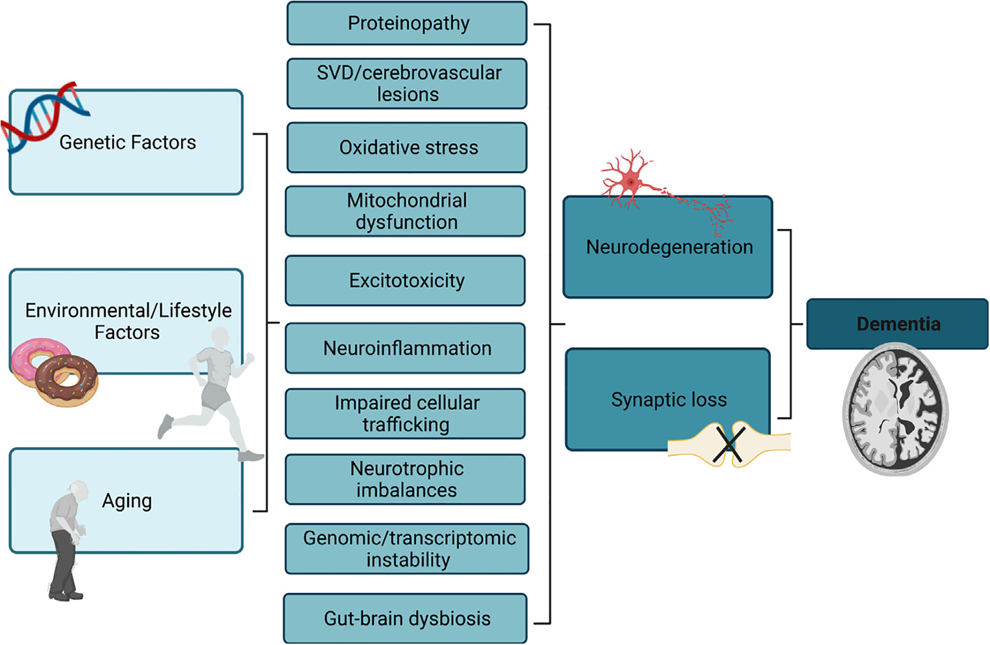 Vascular and Nonvascular Mechanisms of Cognitive Impairment and ... Vascular and Nonvascular Mechanisms of Cognitive Impairment and ...