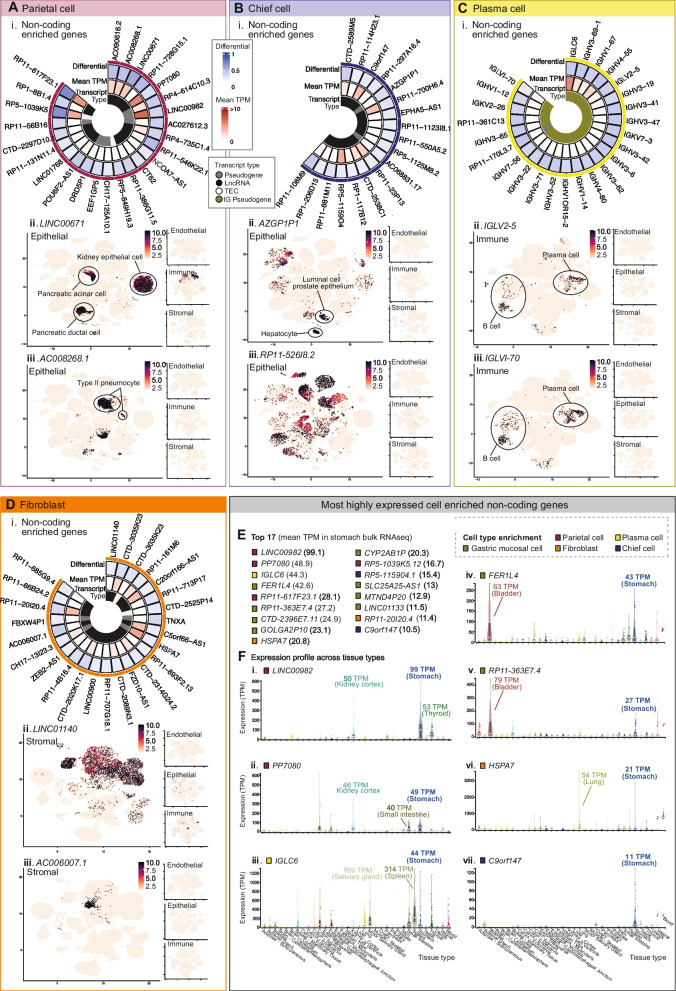 A human stomach cell type transcriptome atlas - PMC