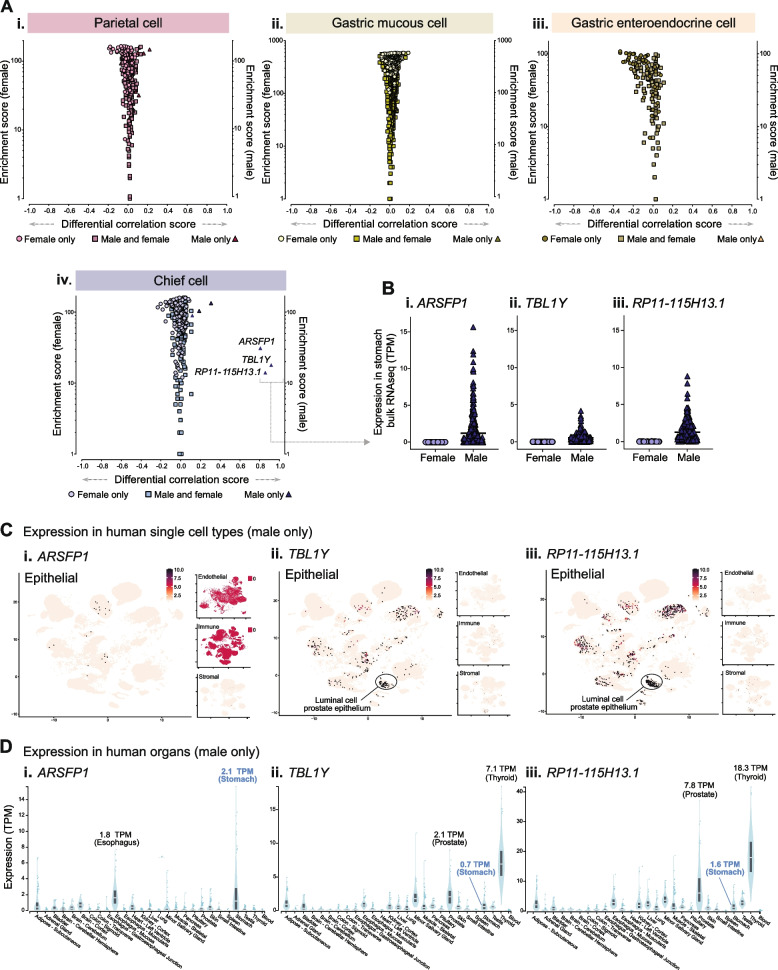 A human stomach cell type transcriptome atlas - PMC