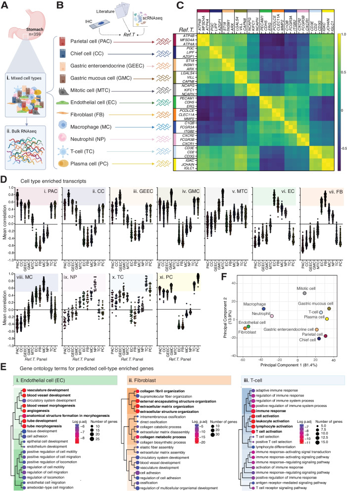 A human stomach cell type transcriptome atlas - PMC