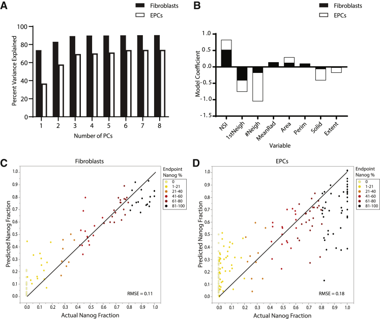 Tracking and Predicting Human Somatic Cell Reprogramming Using Nuclear ...