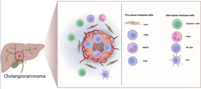 Strategies for treating the cold tumors of cholangiocarcinoma: core concepts and future ...