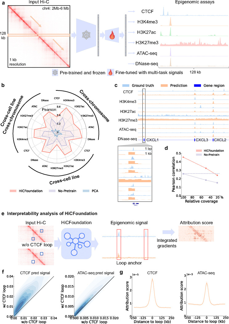 A generalizable Hi-C foundation model for chromatin architecture, single-cell and multi-omics ...