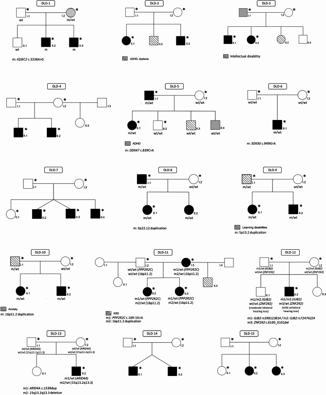 Deciphering the genetic basis of developmental language disorder in ...