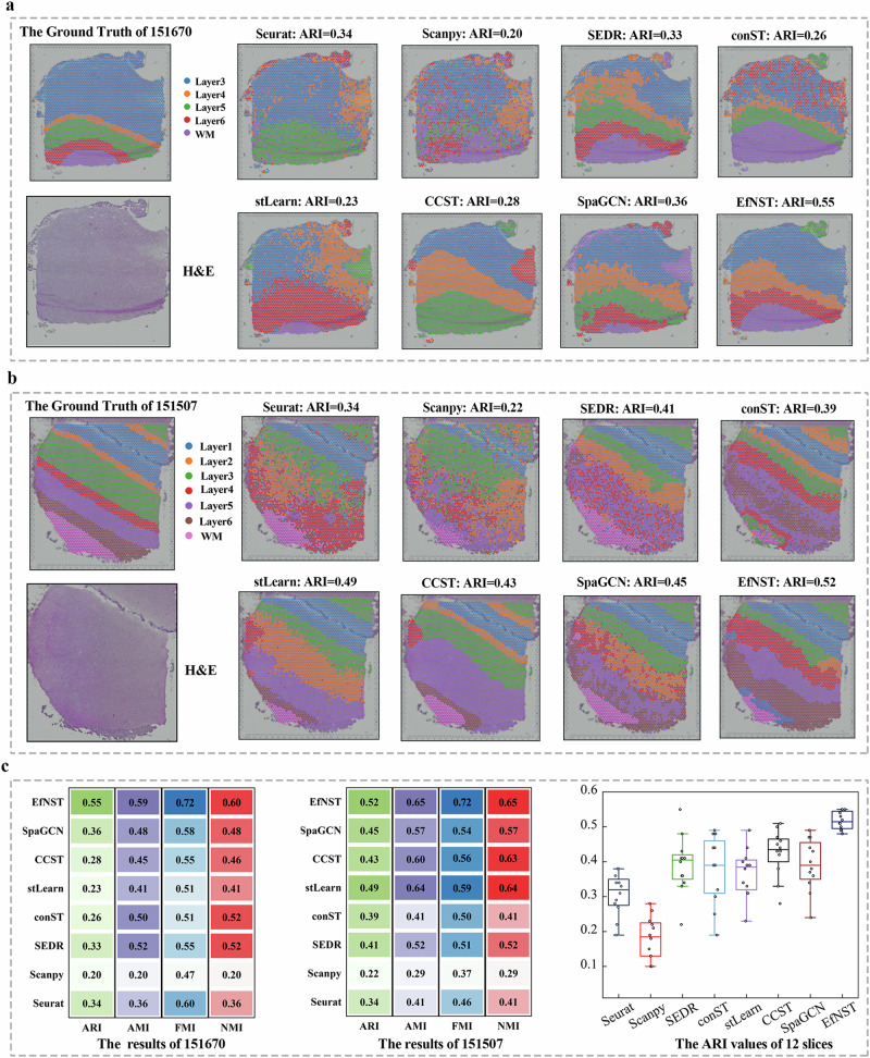 A composite scaling network of EfficientNet for improving spatial domain identification ...
