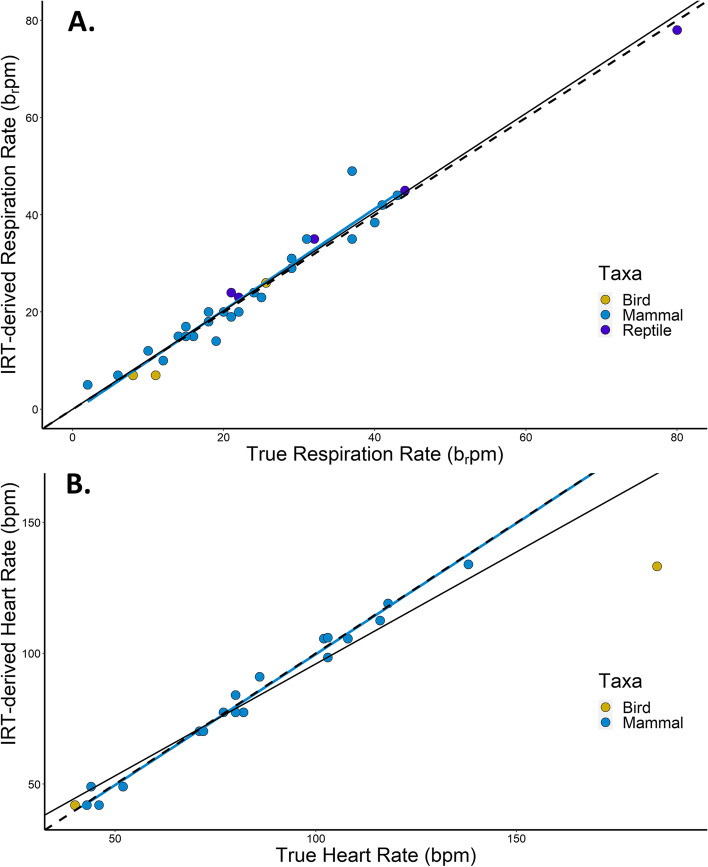 Non-invasive measurements of respiration and heart rate across wildlife species using Eulerian ...