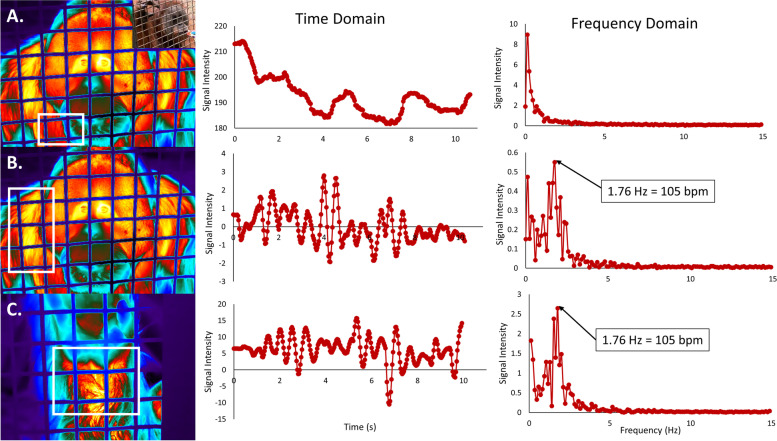 Non-invasive measurements of respiration and heart rate across wildlife species using Eulerian ...