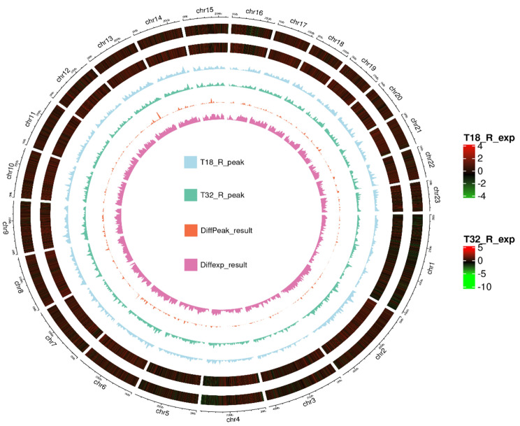 Transcriptome-wide methylated RNA immunoprecipitation sequencing profiling reveals m6A ...