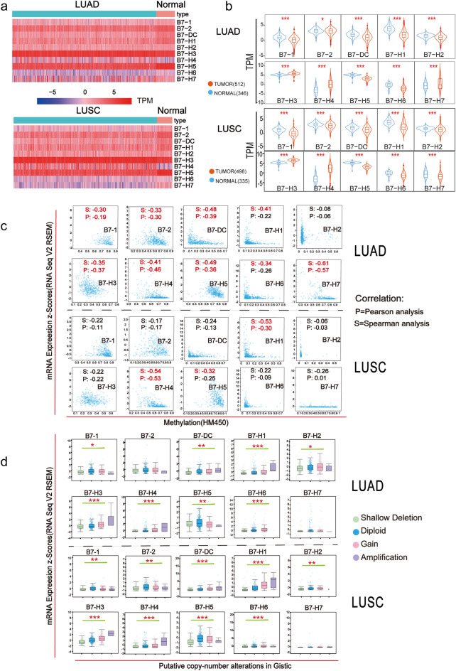 Comprehensive characterization of B7 family members in NSCLC and ...