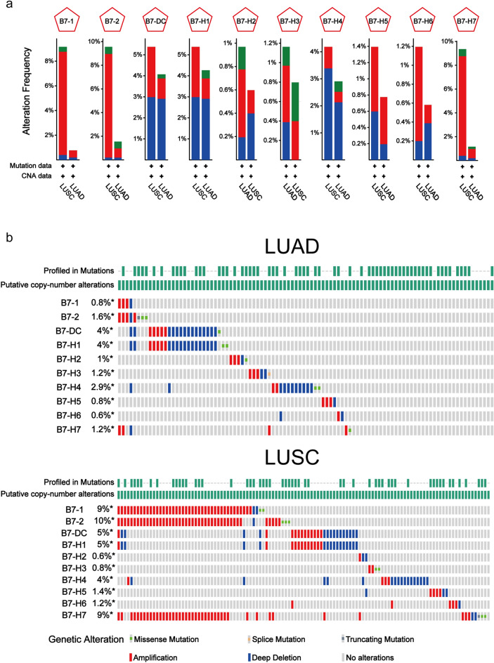 Comprehensive characterization of B7 family members in NSCLC and ...