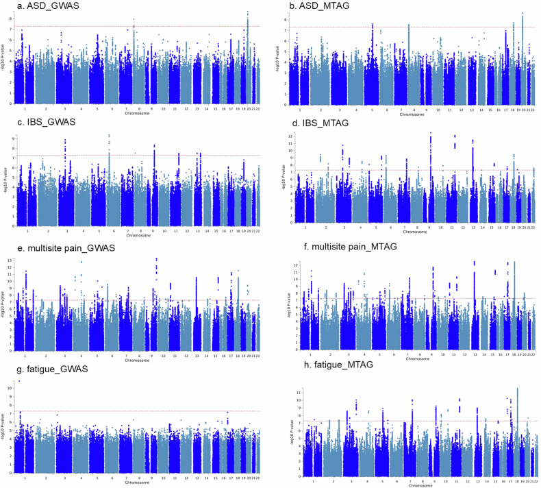 Shared genetic architecture and causality between autism spectrum disorder and irritable bowel ...