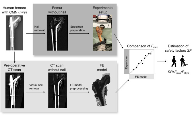 Femoral strength after cephalomedullary nail removal can be predicted preoperatively using CT ...