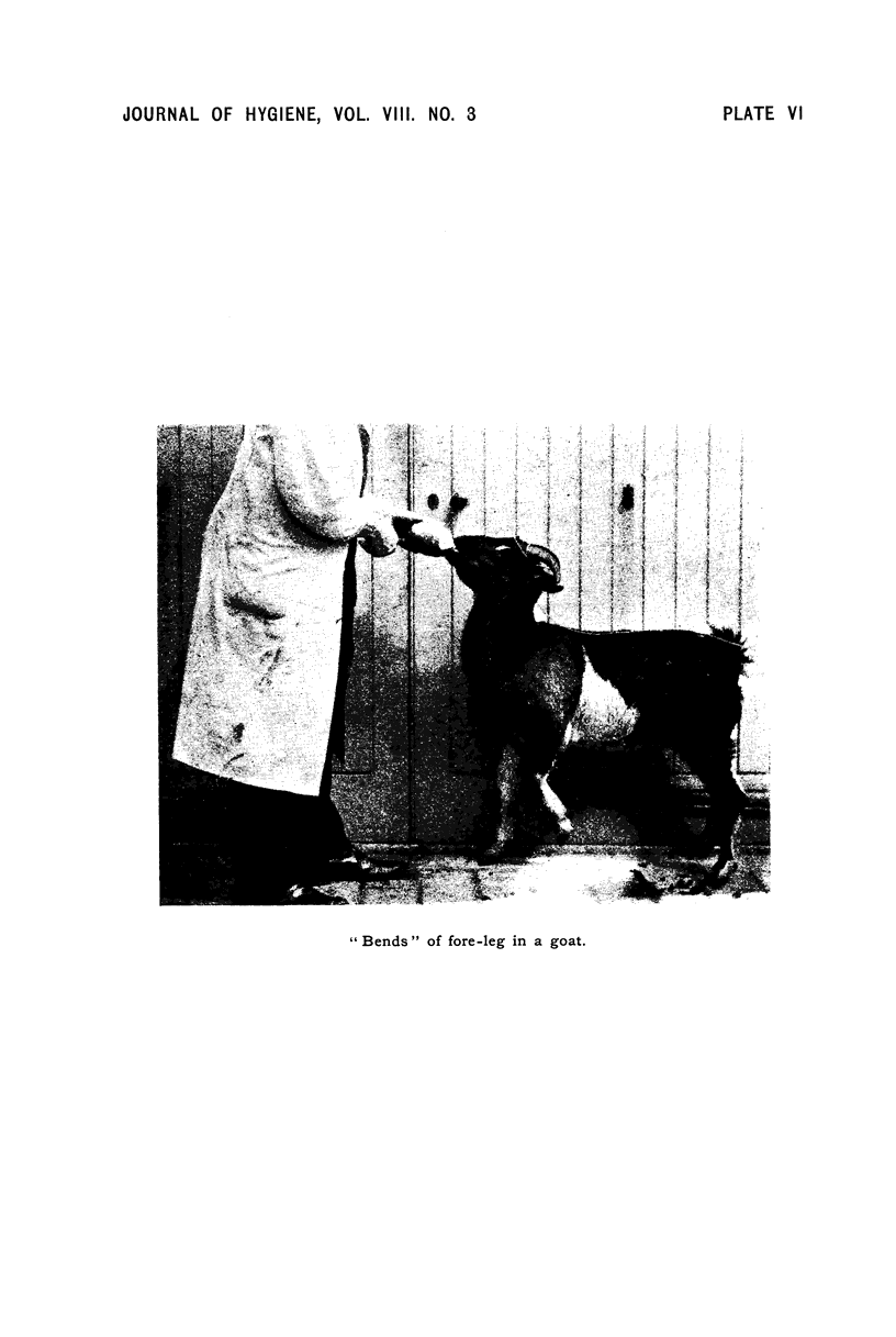 384-2