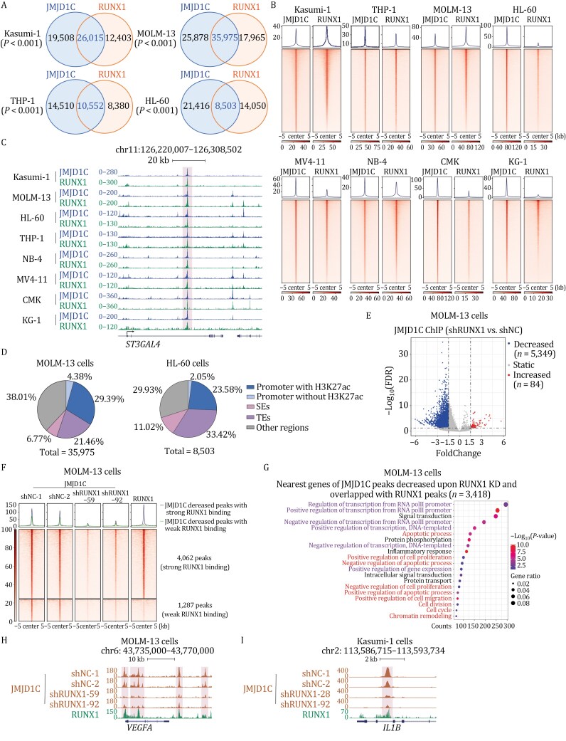 JMJD1C forms condensate to facilitate a RUNX1-dependent gene expression program shared by ...
