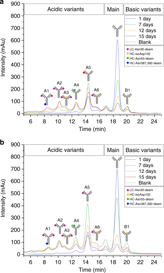 Assessment of susceptible chemical modification sites of trastuzumab ...