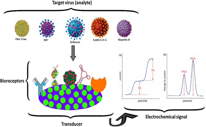 Nanomaterial-based sensors for microbe detection: a review - PMC
