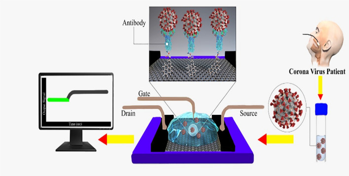 Nanomaterial-based sensors for microbe detection: a review - PMC