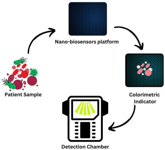 Nanomaterial-based sensors for microbe detection: a review - PMC