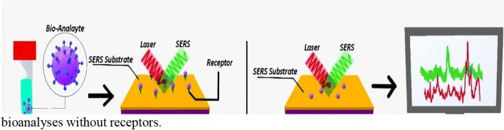 Nanomaterial-based sensors for microbe detection: a review - PMC