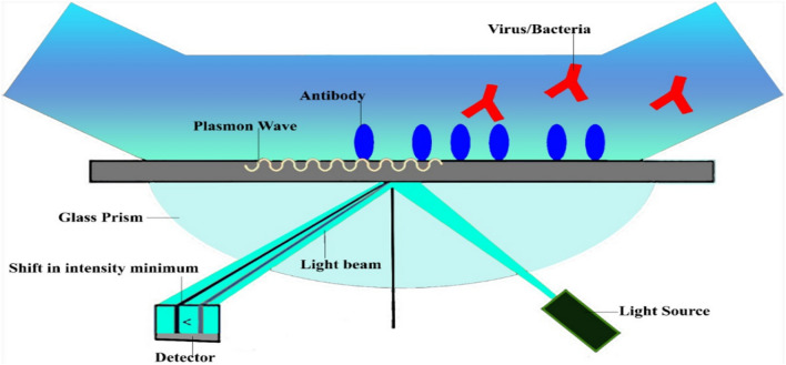 Nanomaterial-based sensors for microbe detection: a review - PMC