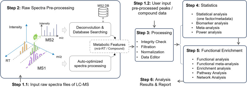 MetaboAnalystR 4.0: a unified LC-MS workflow for global metabolomics - PMC