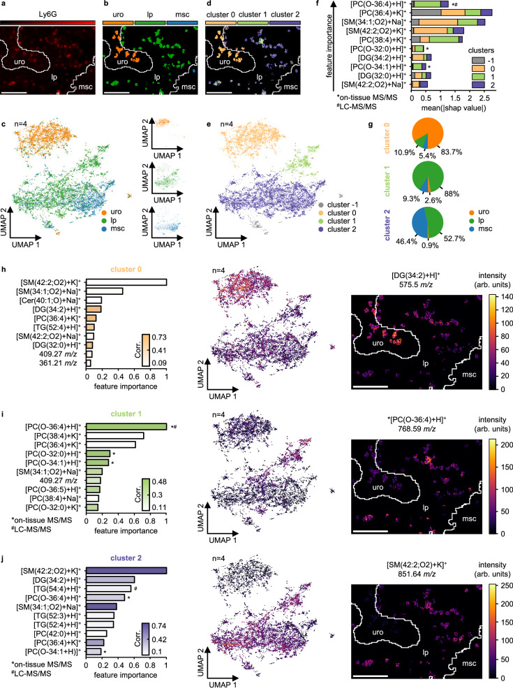 msiFlow: automated workflows for reproducible and scalable multimodal mass spectrometry imaging ...