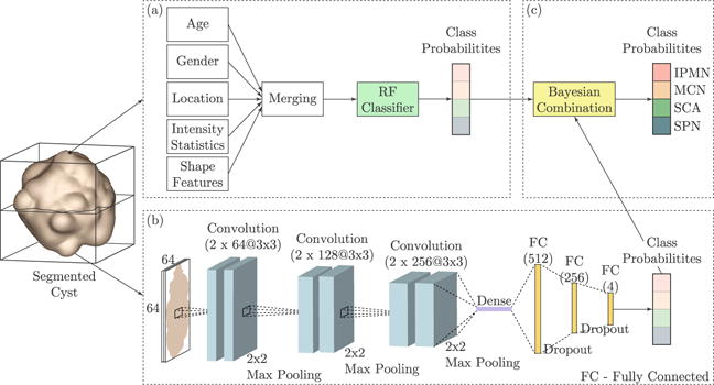 Classification of Pancreatic Cysts in Computed Tomography Images Using ...