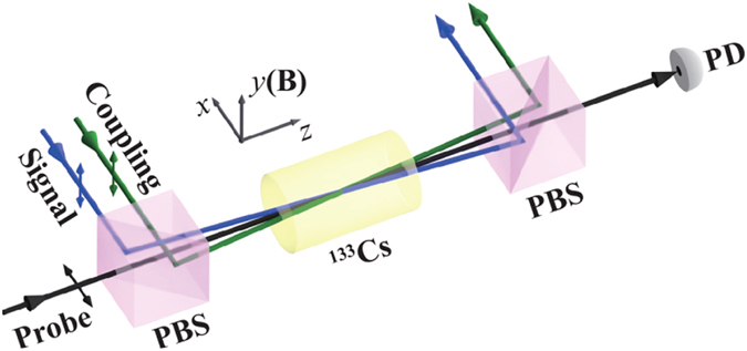Strong Coherent Light Amplification with Double Electromagnetically Induced Transparency ...