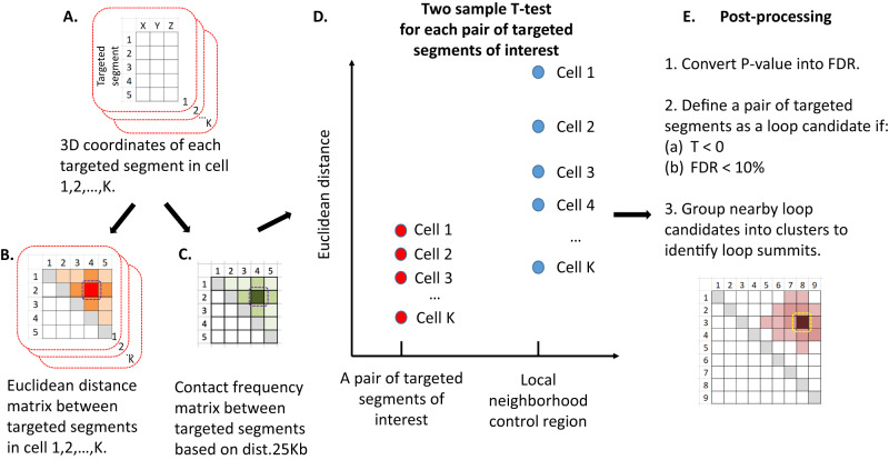 SnapFISH: a computational pipeline to identify chromatin loops from multiplexed DNA FISH data - PMC
