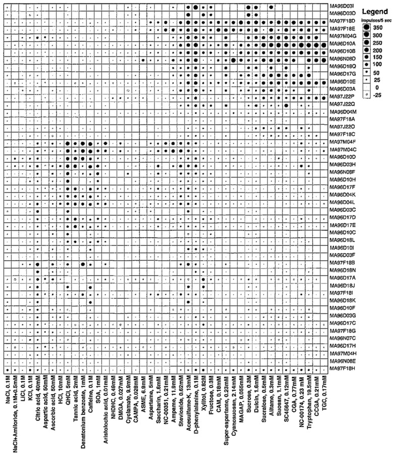 Neuroscience of taste: unlocking the human taste code - PMC