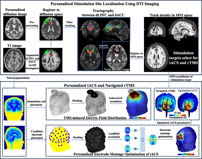 Alleviating cognitive impairments in bipolar disorder with a novel DTI-guided multimodal ...