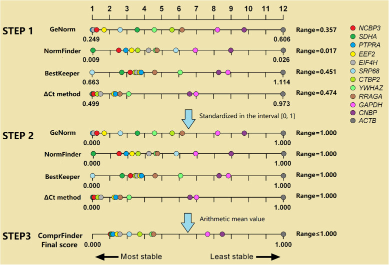 Transcriptome-based selection and validation of optimal house-keeping genes for skin research in ...