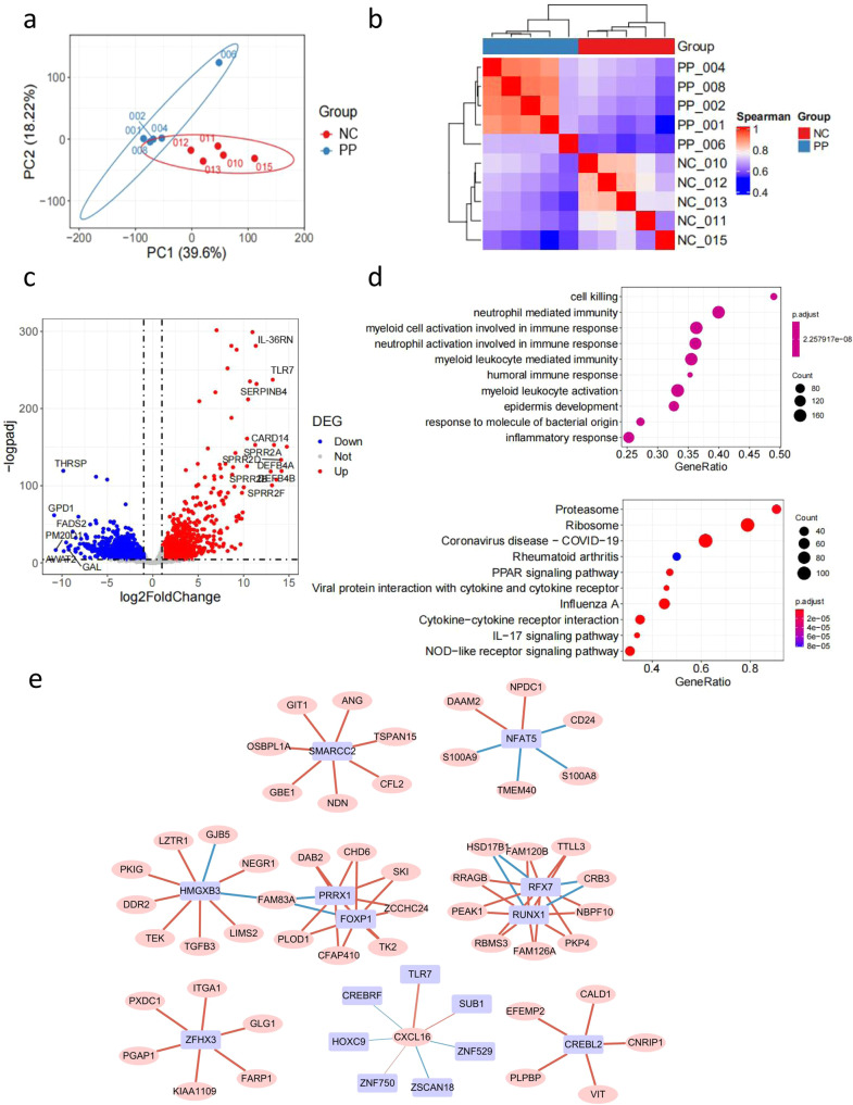 TLR7-MyD88-DC-CXCL16 axis results neutrophil activation to elicit inflammatory response in ...