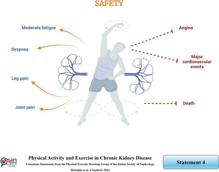 Physical activity and exercise in chronic kidney disease: consensus ...