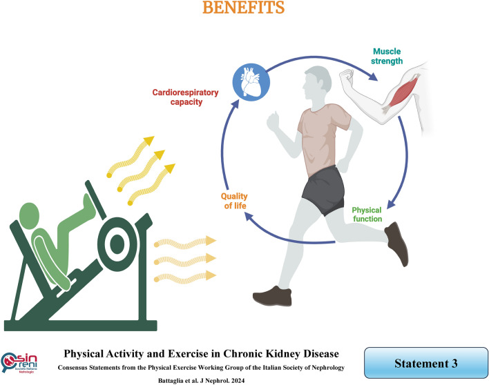 Physical activity and exercise in chronic kidney disease: consensus ...