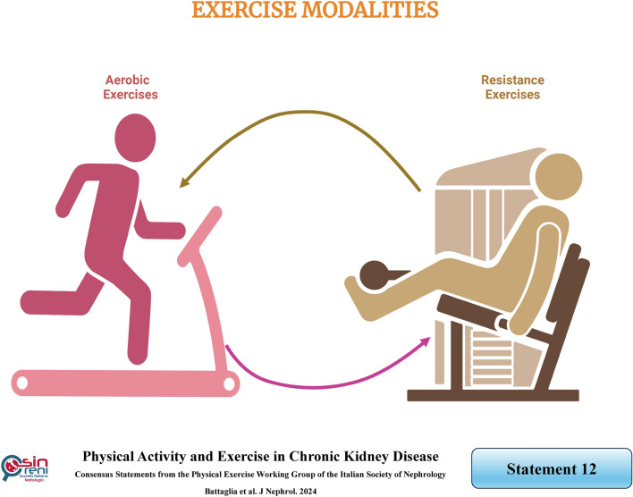 Physical activity and exercise in chronic kidney disease: consensus ...