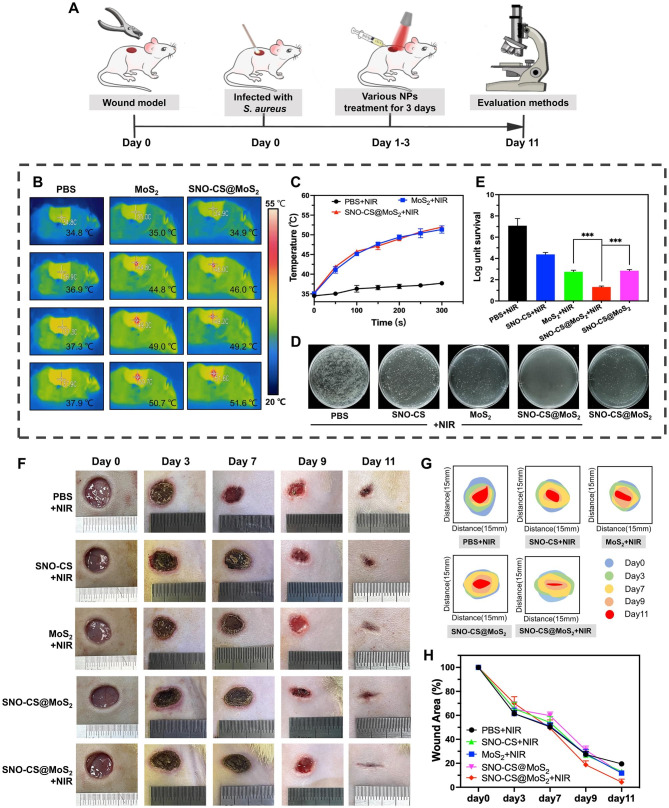 Functionalized MoS2-nanosheets with NIR-Triggered nitric oxide delivery and photothermal ...
