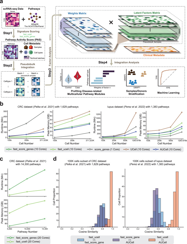 Uncovering disease-related multicellular pathway modules on large-scale single-cell ...