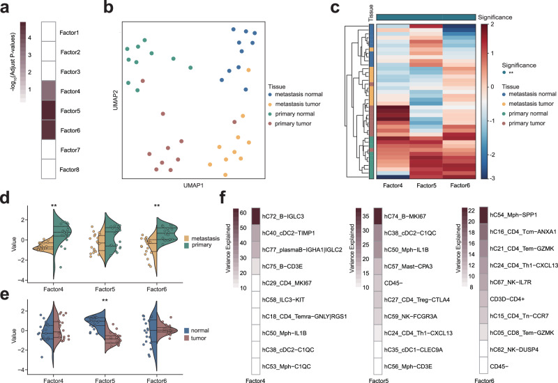 Uncovering disease-related multicellular pathway modules on large-scale single-cell ...