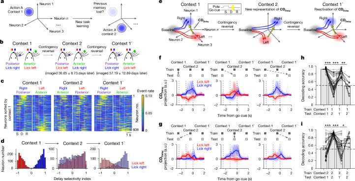 A combinatorial neural code for long-term motor memory - PMC