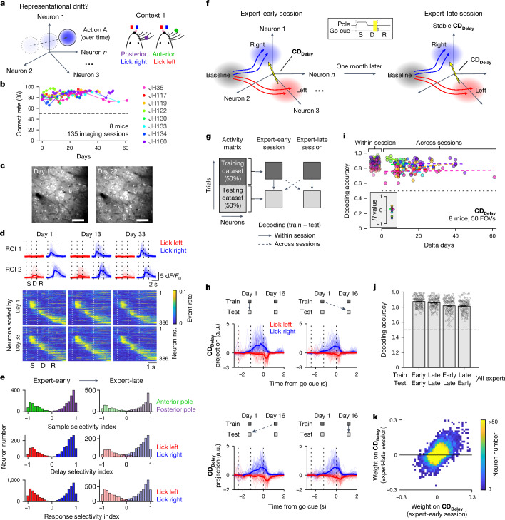 A combinatorial neural code for long-term motor memory - PMC