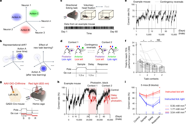 A combinatorial neural code for long-term motor memory - PMC