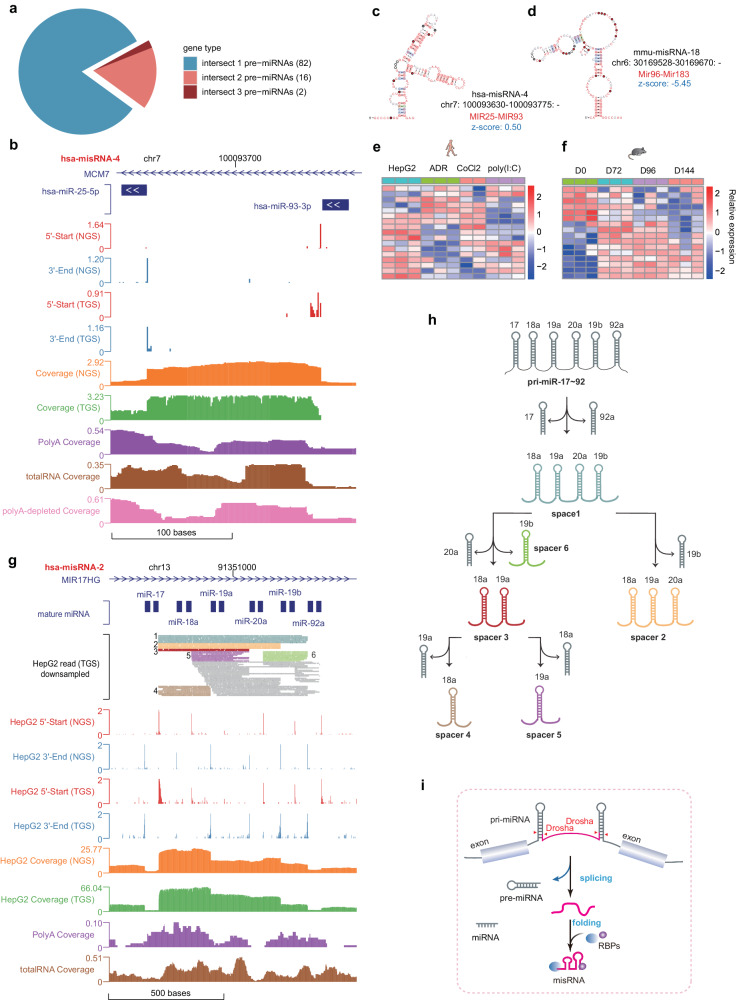 NAP-seq reveals multiple classes of structured noncoding RNAs with regulatory functions - PMC
