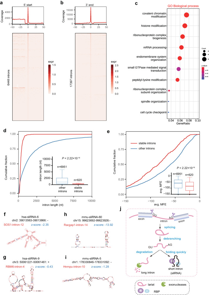 NAP-seq reveals multiple classes of structured noncoding RNAs with regulatory functions - PMC
