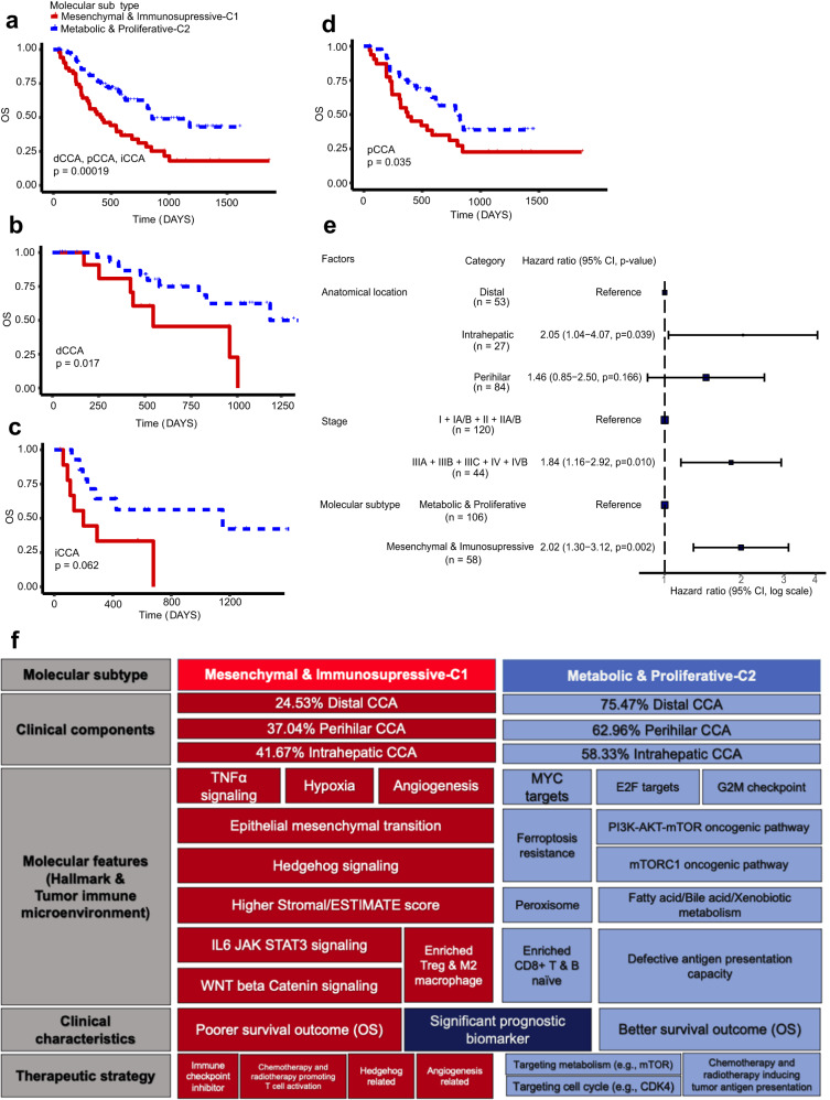 A transcriptome based molecular classification scheme for cholangiocarcinoma and subtype-derived ...