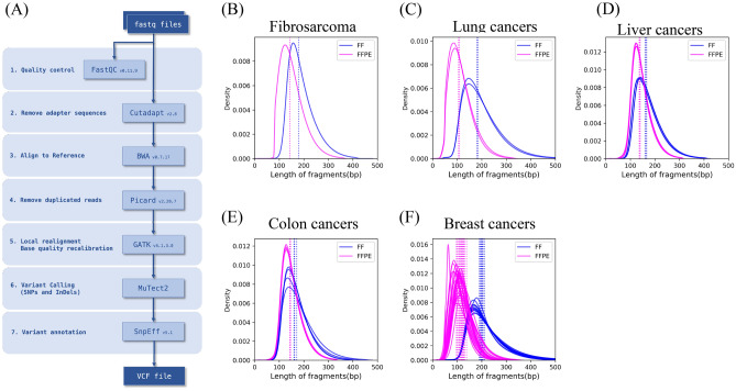 DEEPOMICS FFPE, a deep neural network model, identifies DNA sequencing artifacts from formalin ...