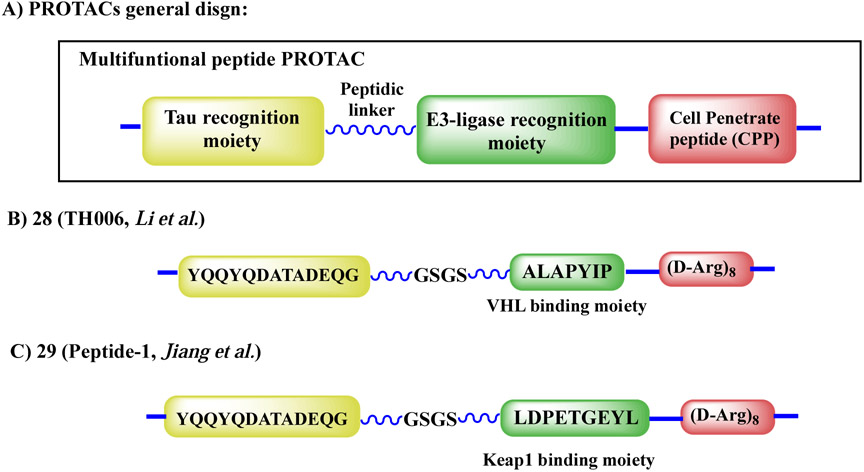 PROTACs to Address the Challenges Facing Small Molecule Inhibitors - PMC