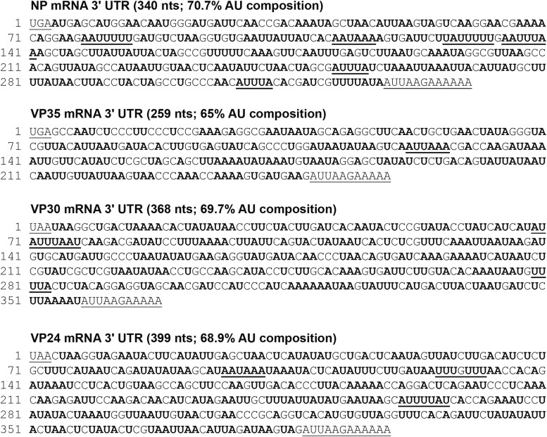 The 3′ Untranslated Regions of Ebola Virus mRNAs Contain AU-Rich Elements Involved in ...